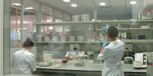 Conoce el grupo Importaco | Itac Professional