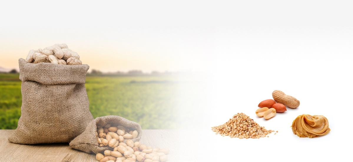 International Food Group | Itac Professional | Nut manufacturers