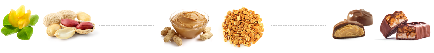 Peanut types: basic guide for industrial buyers - Itac Professional
